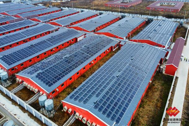CHN Energy Jiangsu Branch Hit a New High in Green Electricity ...